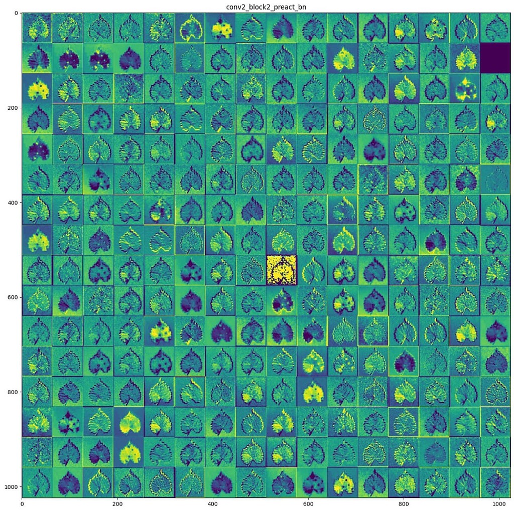 Multi-Task AI for crop disease diagnosis - R9700 giveaway - Blog ...