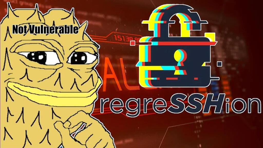 Securitypsa Openssh Vulnerability In Linux Systems Science Engineering And Security 