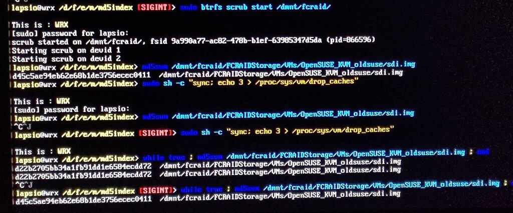 Btrfs Raid1 Split Brain Problem Linux Level1techs Forums 