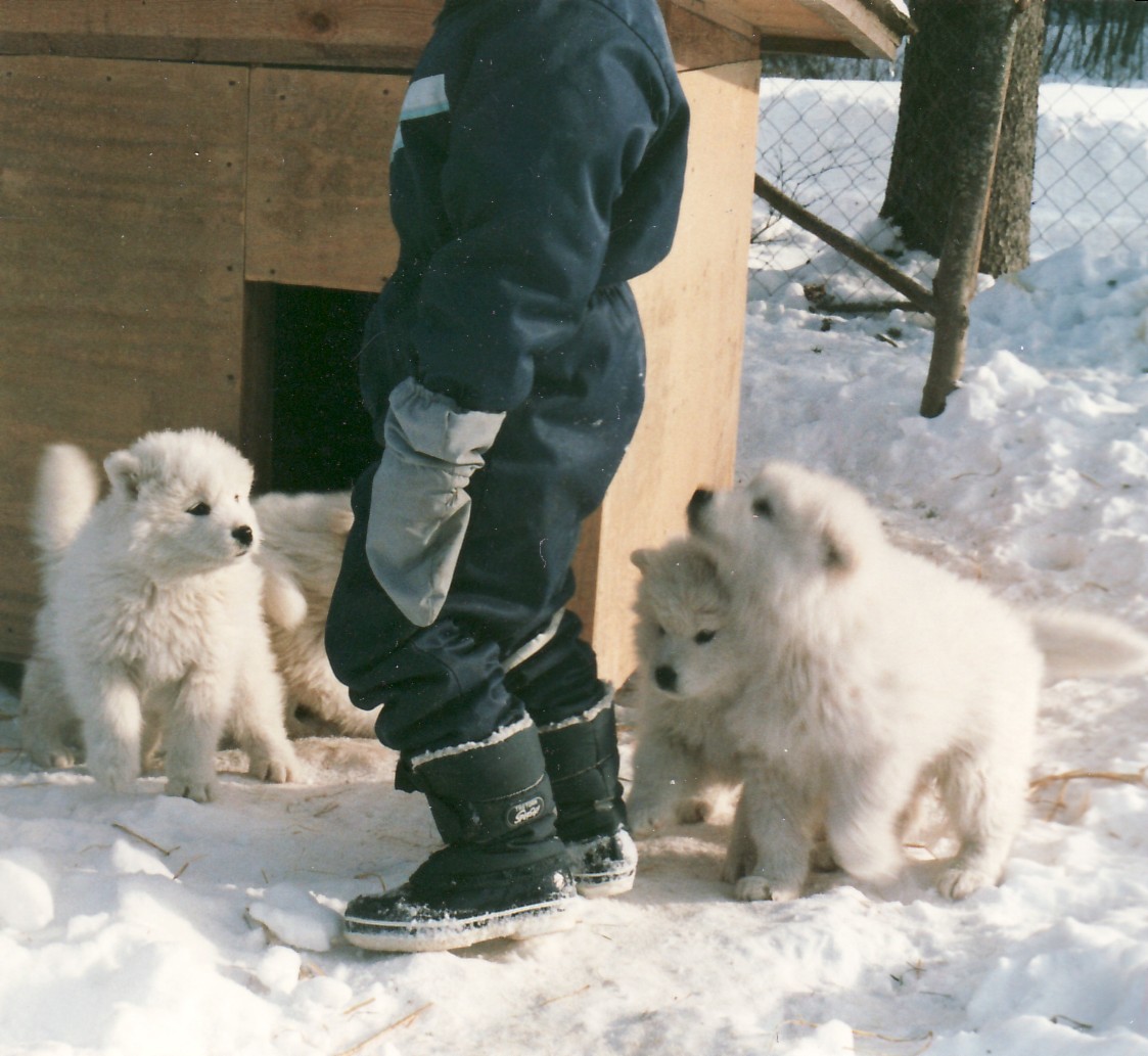 This thread is Nuclear (nuclear power discussion) - Page 9 - Science, Engineering, & Security ...