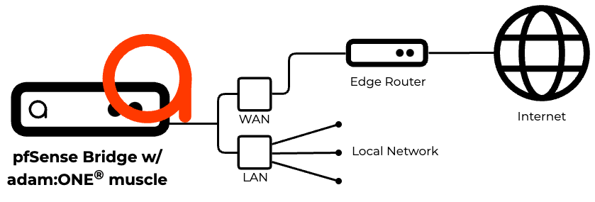 PfSense as Proxmox internal router/firewall - Virtualization - Level1Techs Forums