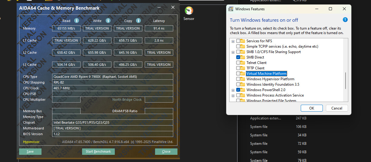Low memory performance under Windows 11 virtual machine - Virtualization - Level1Techs Forums